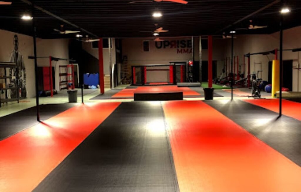 Best MMA Gyms in Los Angeles for All Skill Levels (2025)